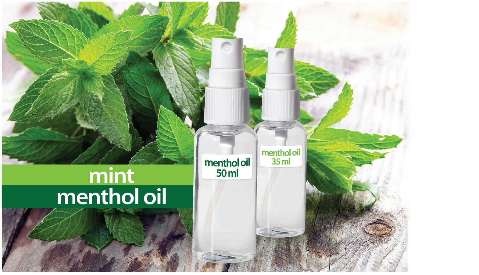 Menthol Oil Product Menthol Oil Product